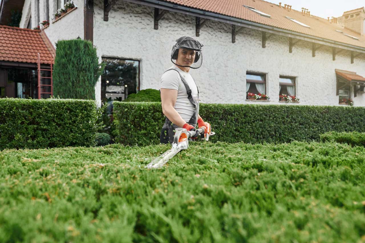 Our How-To Guide for Growing Plants – calanservices.us